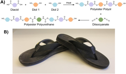 From toucan beaks to fungus, the wonderful world of biomaterials – Wiki ...