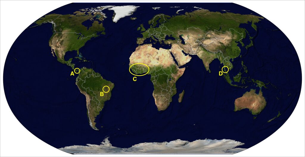 Writing the book on primate archaeology – Wiki Education