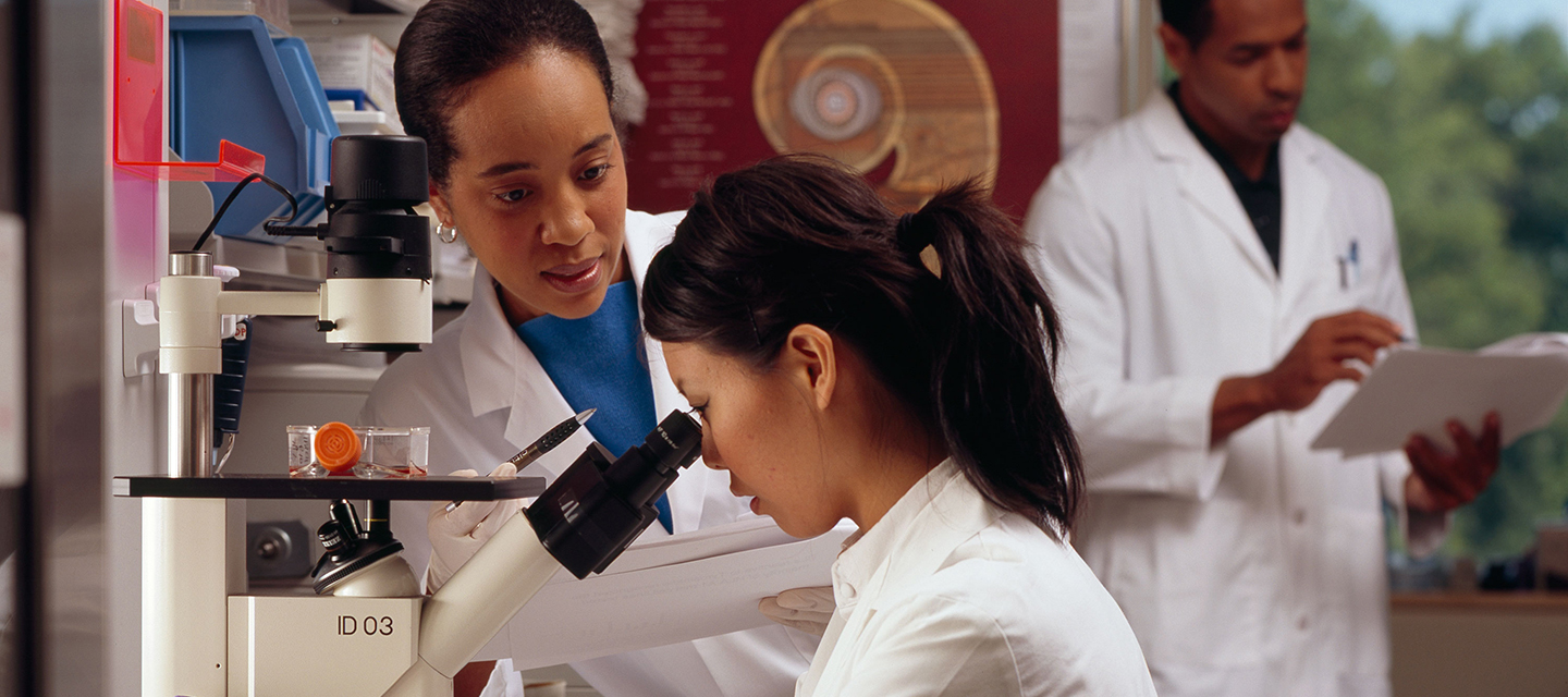 Empowering the Next Generation of STEM Professionals with a More ...